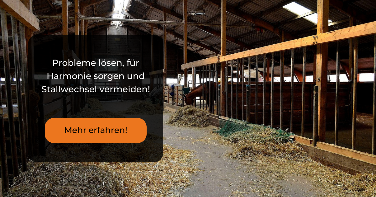 Für zufriedene Einsteller und deren Pferde