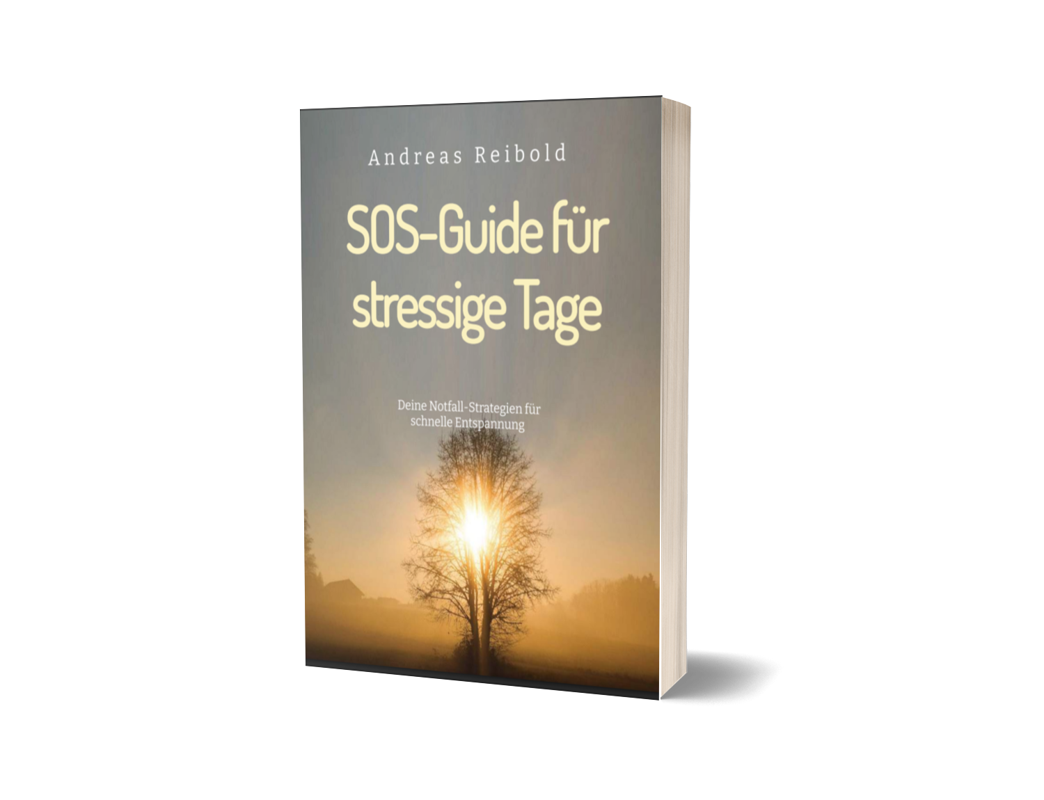 SOS-Guide für stressige Tage