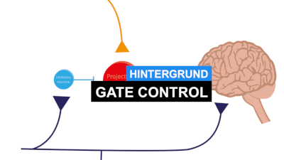 Was ist bzw. beschreibt die Gate-Control-Theorie